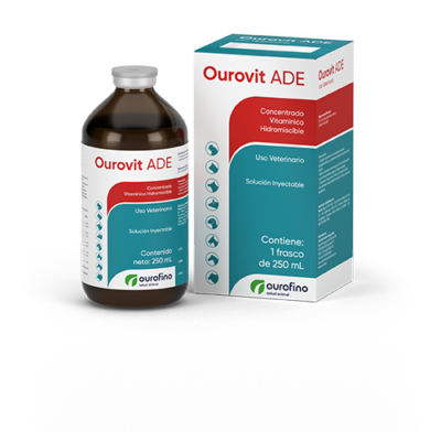 OUROVIT ADE – Pavet